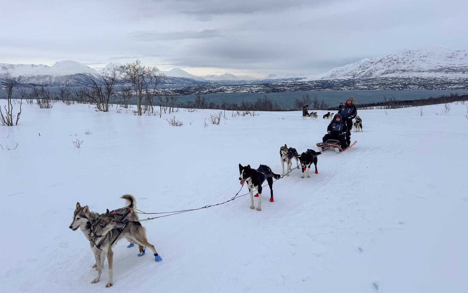 12 Unmissable Things to Do in Tromso in Winter (and What to Skip ...